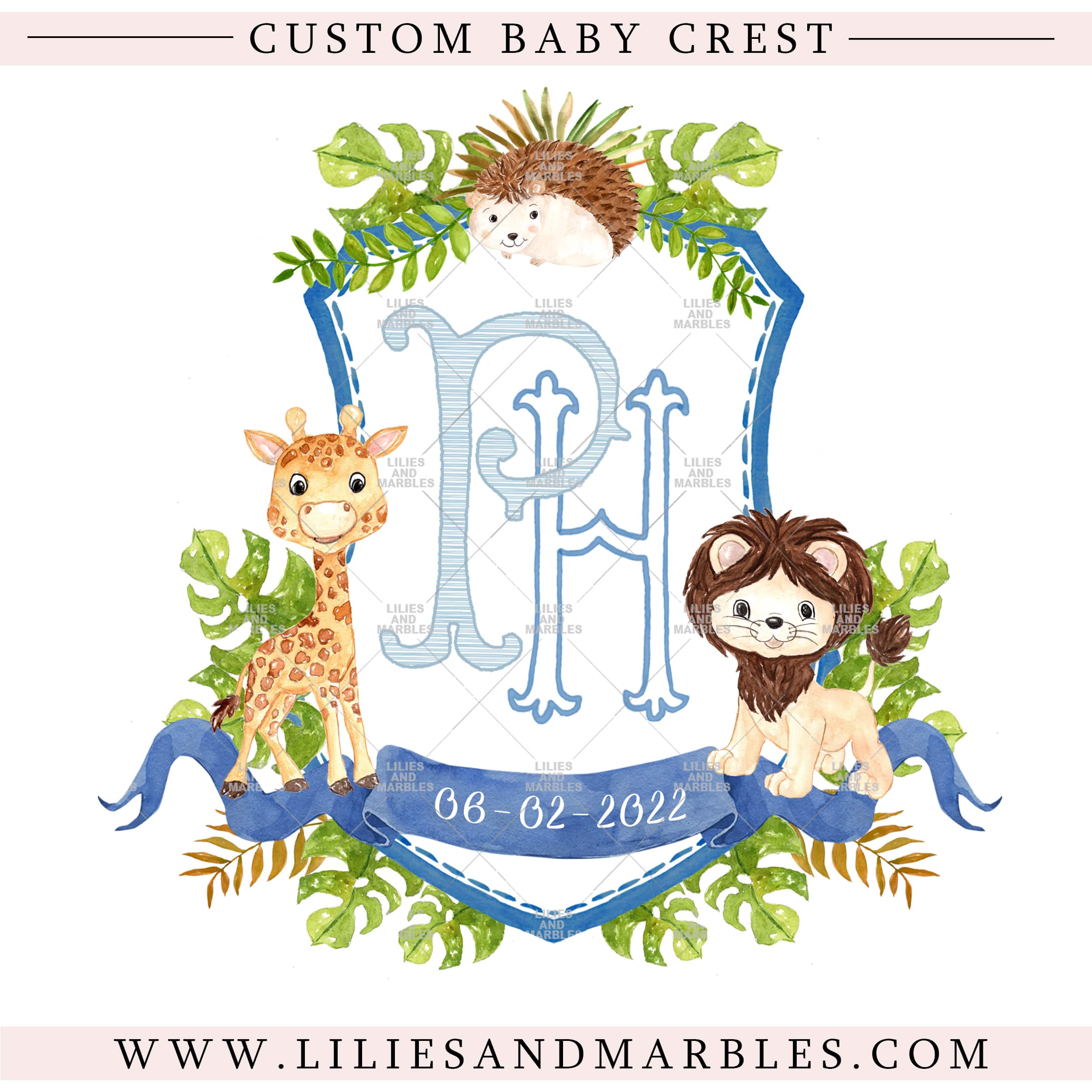 Custom Baby Crest For Baby Boy